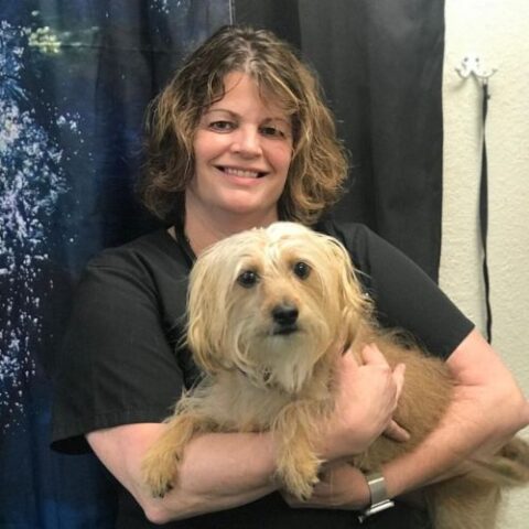 Vets In Austin, TX 78726 | Four Paws @ Four Points Veterinary Hospital